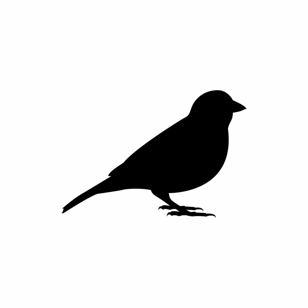 Bird Control Solutions Deterrents Bird Control Services Minneapolis MN Bird Control Solutions Deterrents Bird Control Services Minneapolis MN