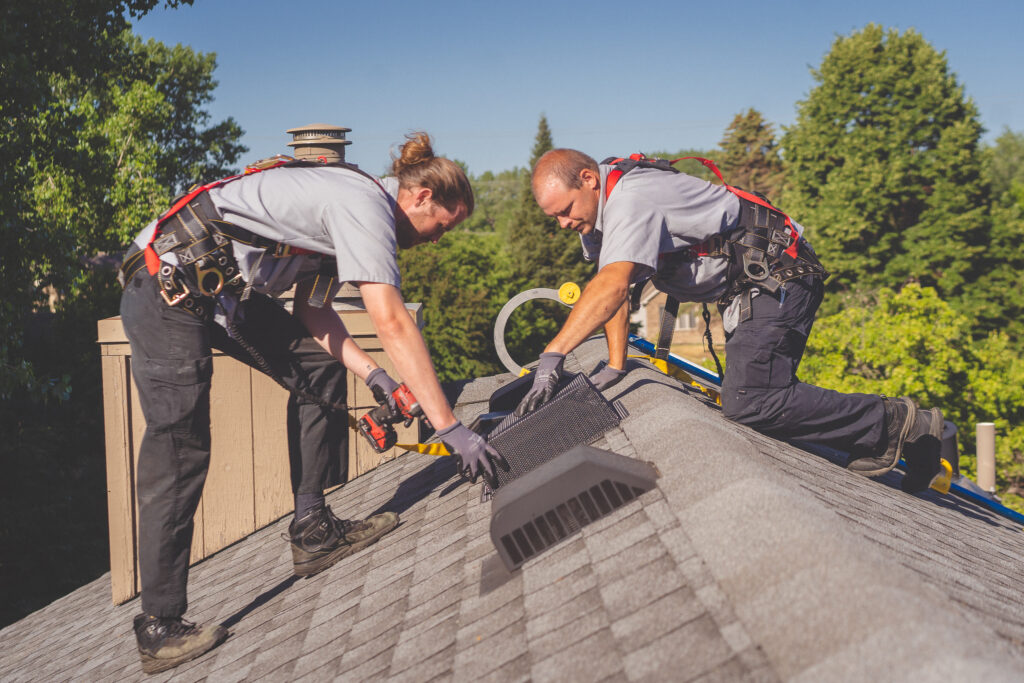 Pest Removal & Exterminator In Spring Park MN - Wildlife Removal