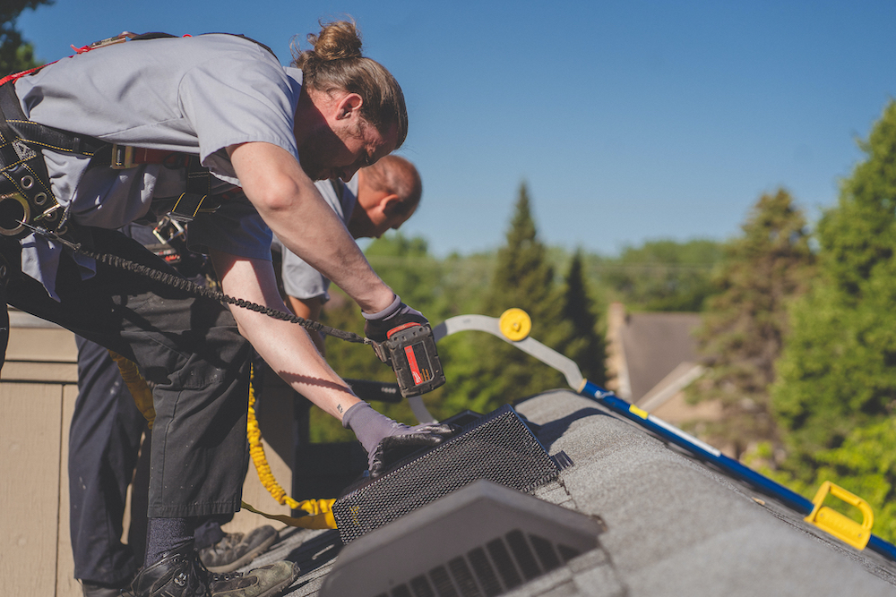Careers At Abra Kadabra Environmental Services Pest Wildlife careers-at-abra-kadabra-environmental-services-pest-wildlife