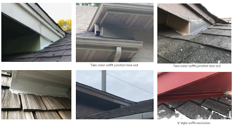 How Bat Removal Works (A Comprehensive Guide For Minnesota Property ...