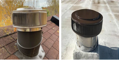 How Bat Removal Works (A Comprehensive Guide For Minnesota Property ...