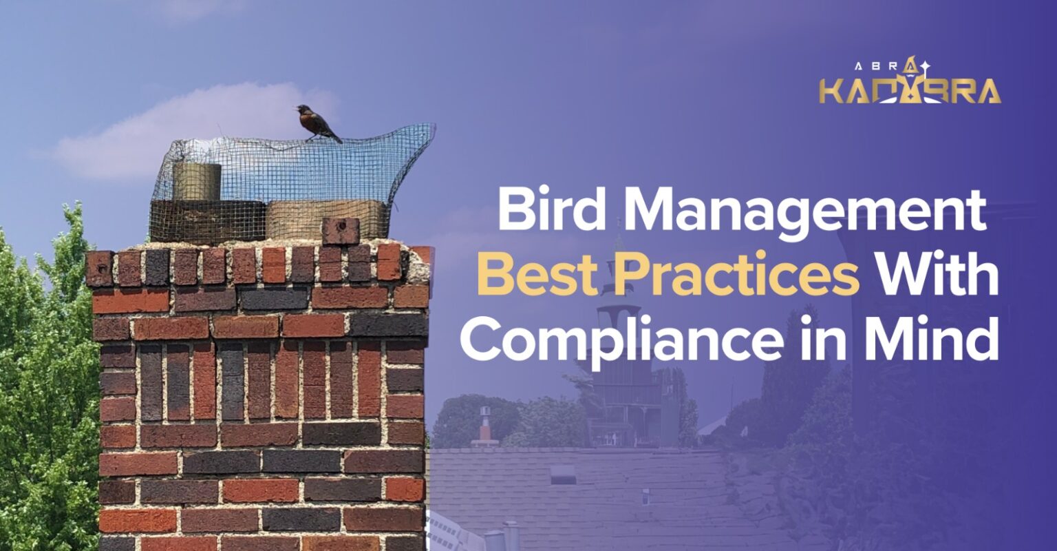Bird Management Best Practices With Compliance in Mind - Abra Kadabra