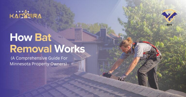 How Bat Removal Works (A Comprehensive Guide For Minnesota Property ...