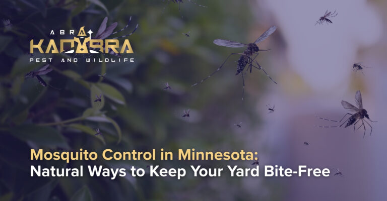 Mosquito Control in Minnesota: Natural Ways to Keep Your Yard Bite-Free - Abra Kadabra