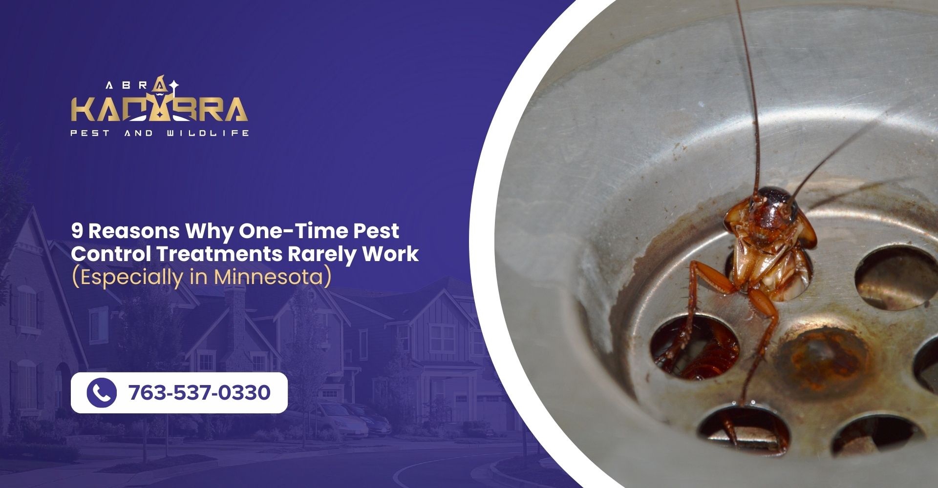 9 Reasons Why One-Time Pest Control Treatments Rarely Work (Especially ...