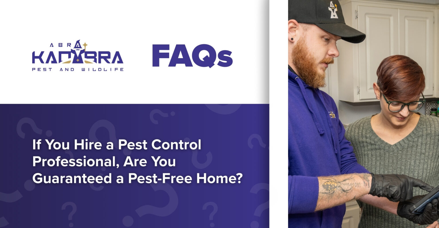 If You Hire a Pest Control Professional, Are You Guaranteed a Pest-Free ...